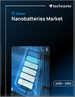 Global Nanobatteries Market 2026-2030