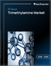 Global Trimethylamine Market 2026-2030