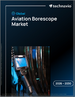 Global Aviation Borescope Market 2026-2030
