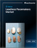 Global Leadless Pacemakers Market 2026-2030