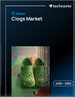 Global Clogs Market 2026-2030