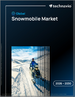 Global Snowmobile Market 2026-2030